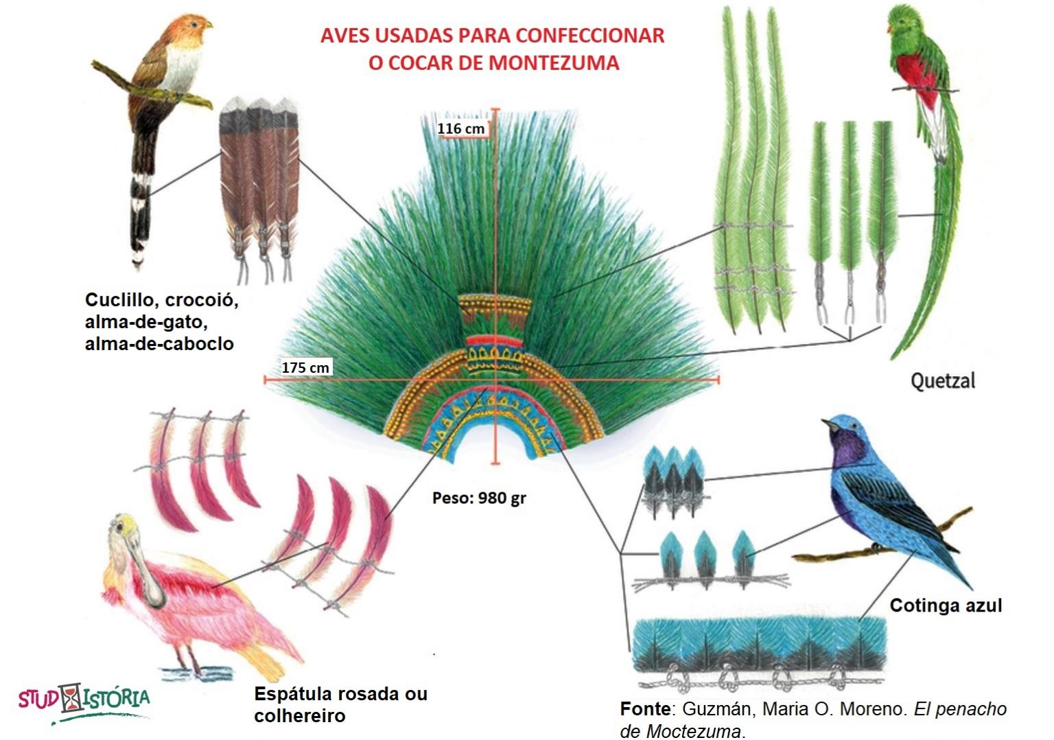 O magnífico cocar de Montezuma, o imperador asteca